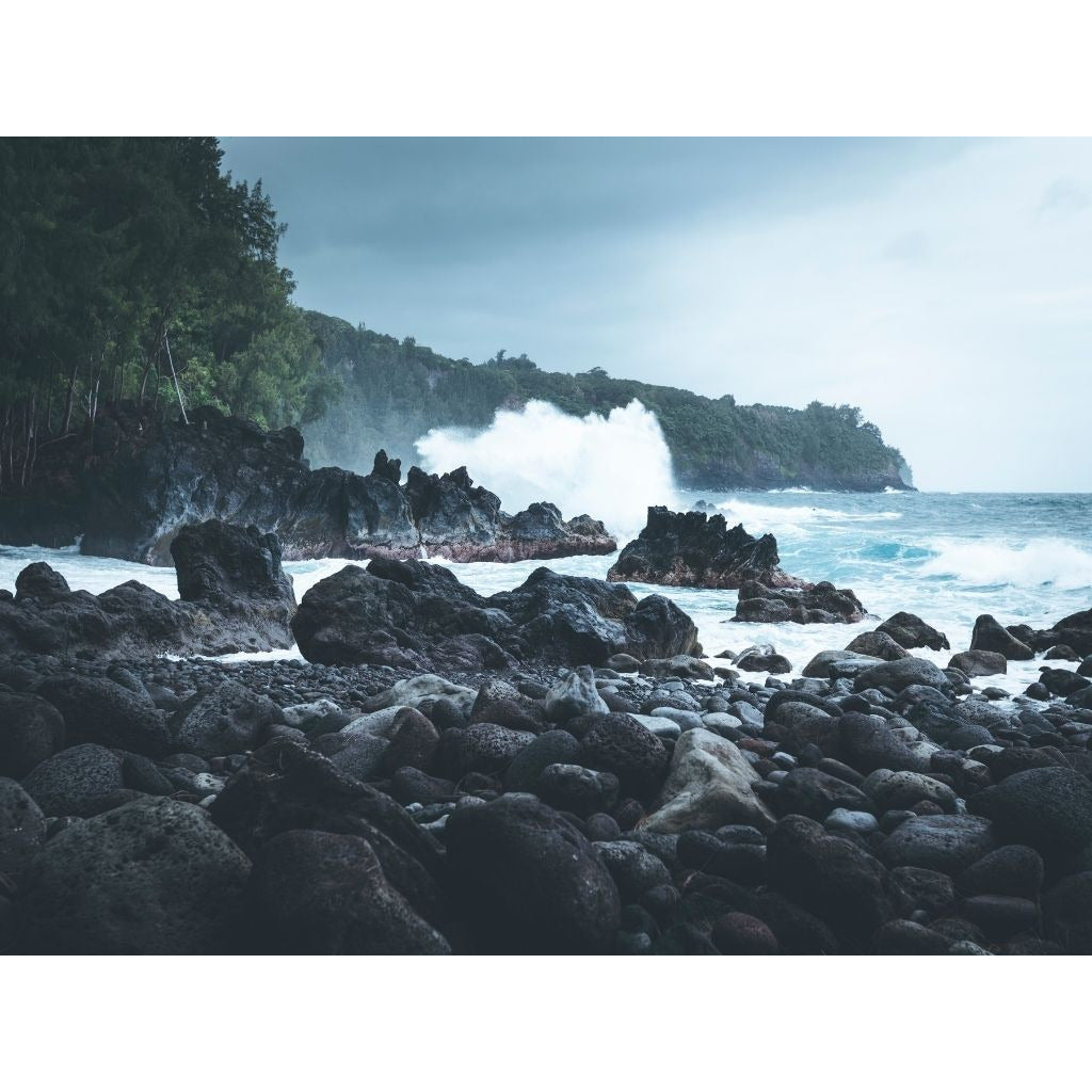 Kona Coffee | Kona Fancy Pure – The Cultured Cup®