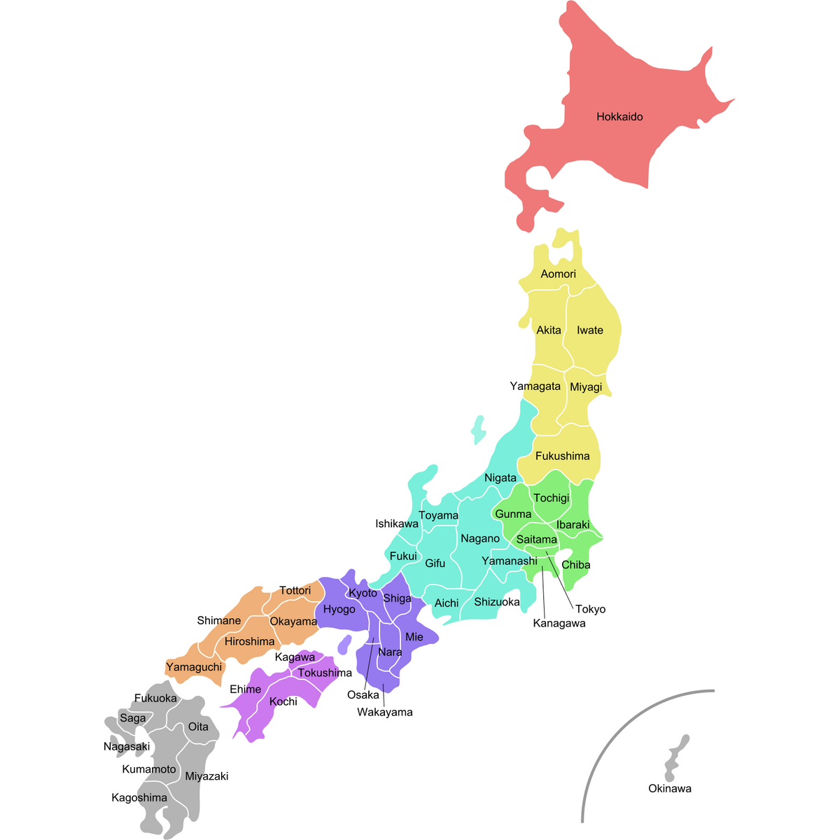 Matcha Bamboo Scoop – The Cultured Cup®