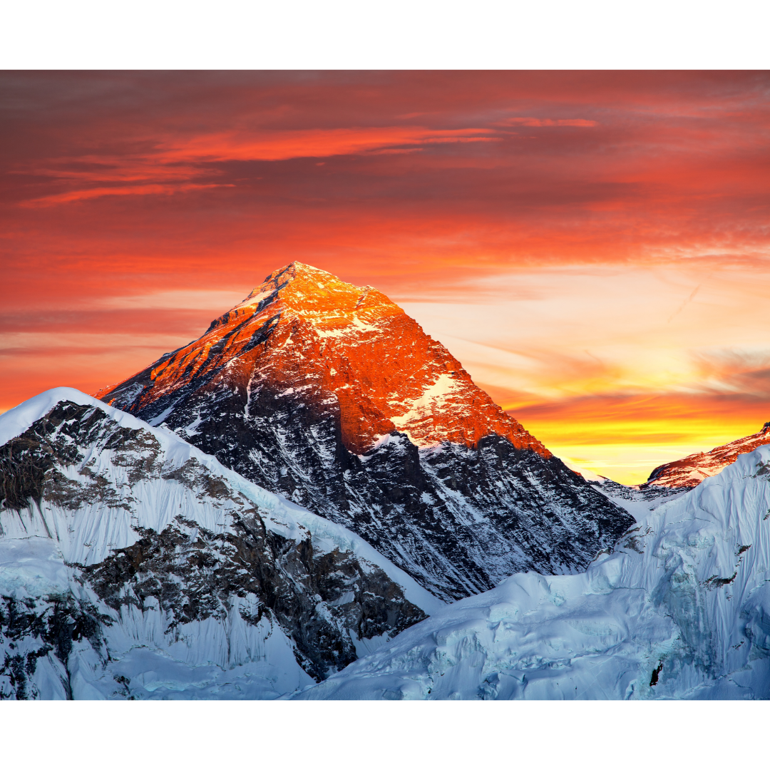 Nepal Gold Tips Tea – The Cultured Cup®